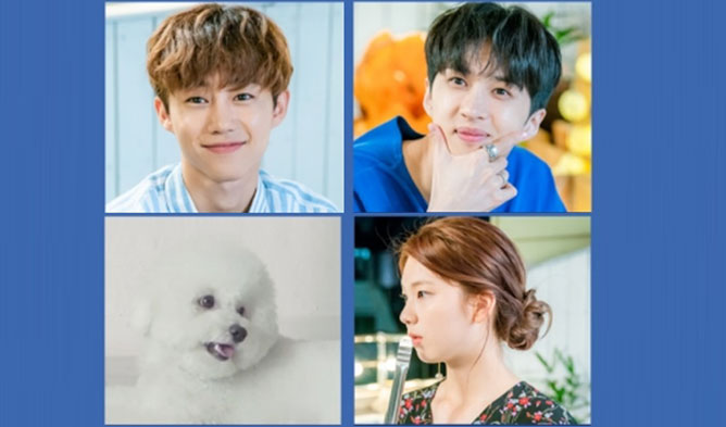 Tofu Personified, Ketika Anjing Kesayangan Reinkarnasi Jadi Cowok ...